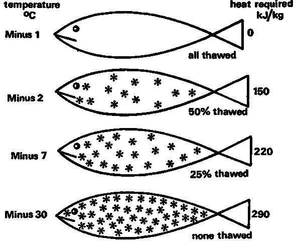 What are two 2 acceptable methods for thawing frozen fish and seafood?