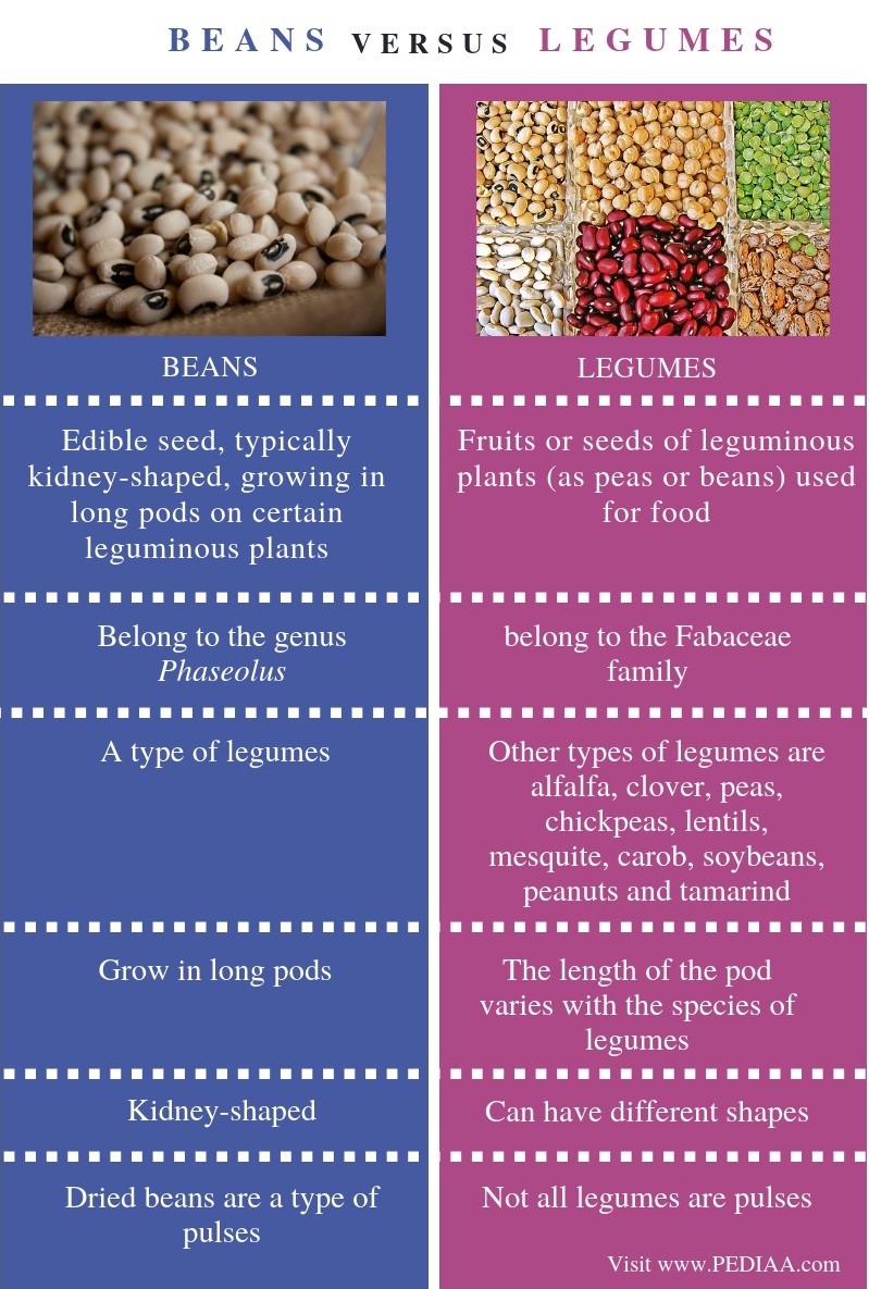 What beans are not legumes?