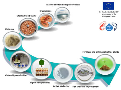What can be done with shellfish waste?