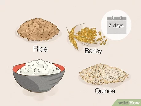 What can I eat 4 days after tooth extraction?