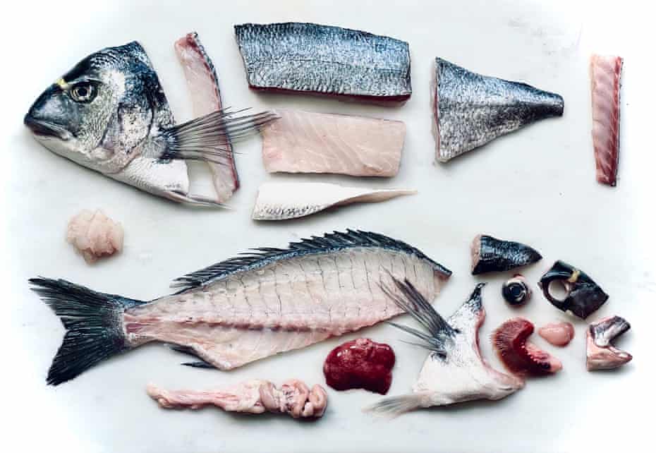 What can we do with fish?