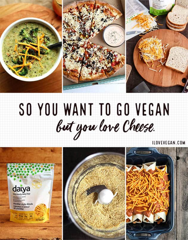 What cheese can you eat on a plant-based diet?