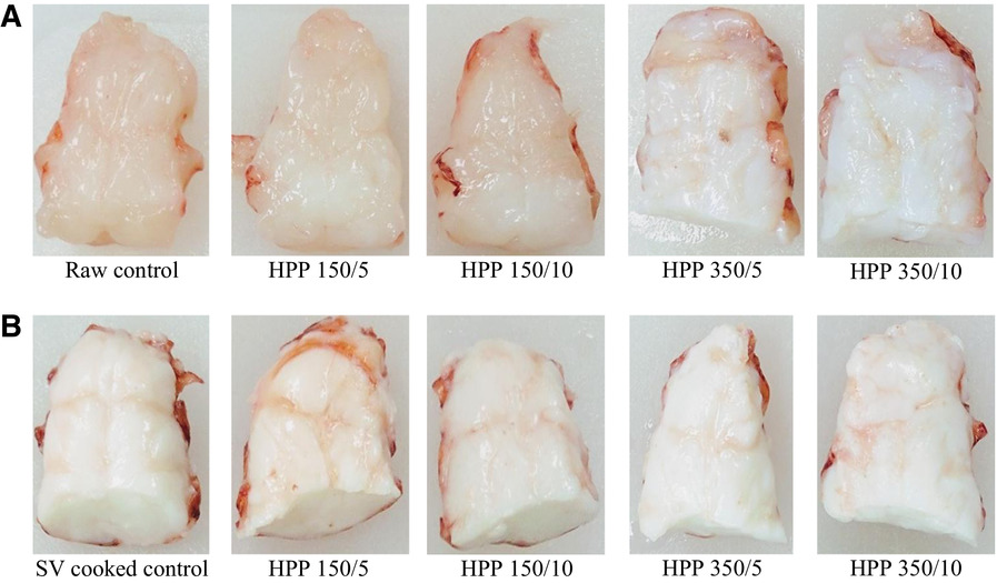 What color should lobster meat be?
