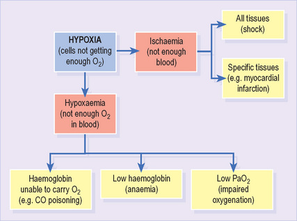 What could cause a problem with gas exchange?
