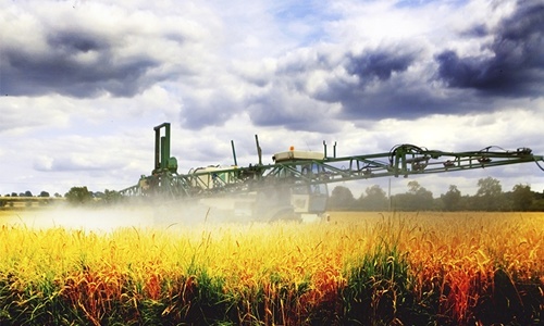 What crops are sprayed with glyphosate before harvest?