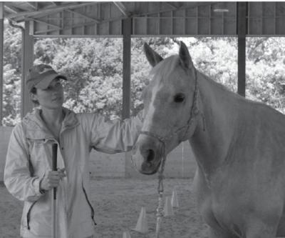 What did Doris Day give to the abused horses center?