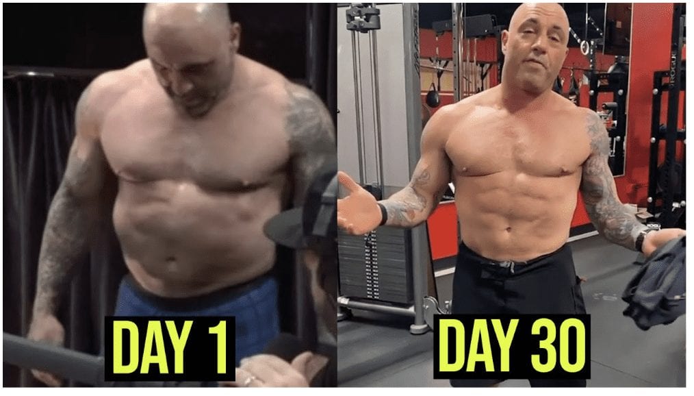 What did Joe Rogan eat on his carnivore diet?