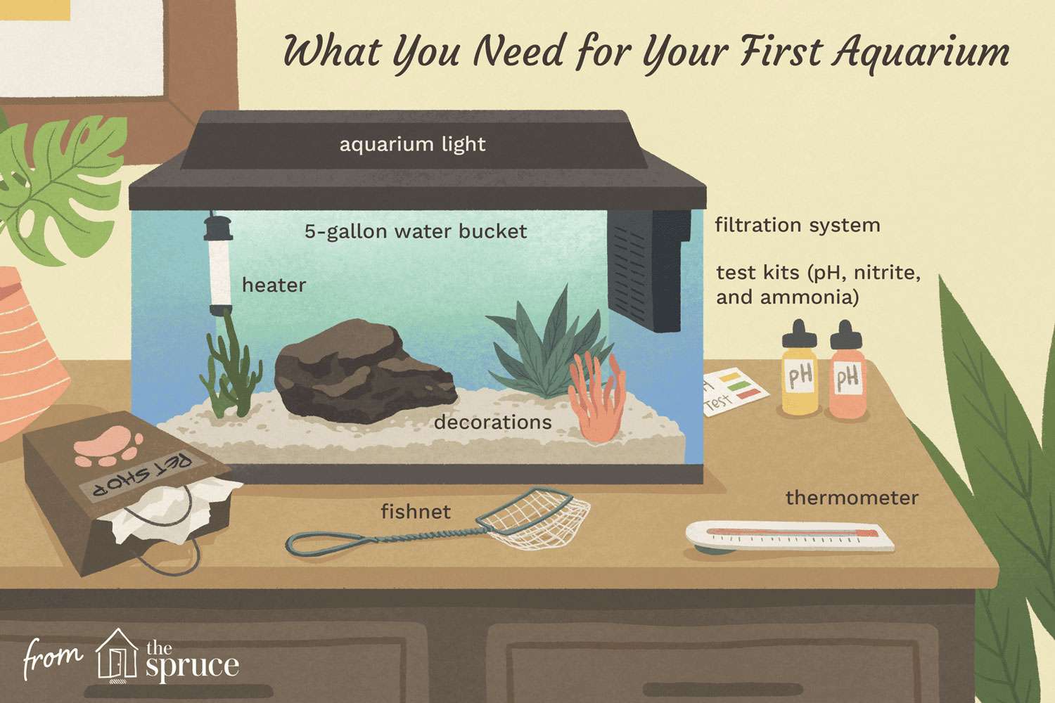 What do you need for a pet fish?