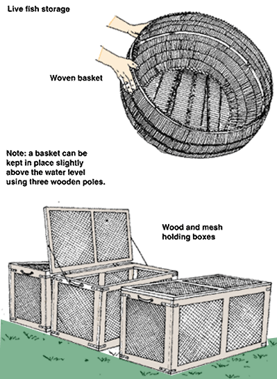 What do you need to know about fish storage?