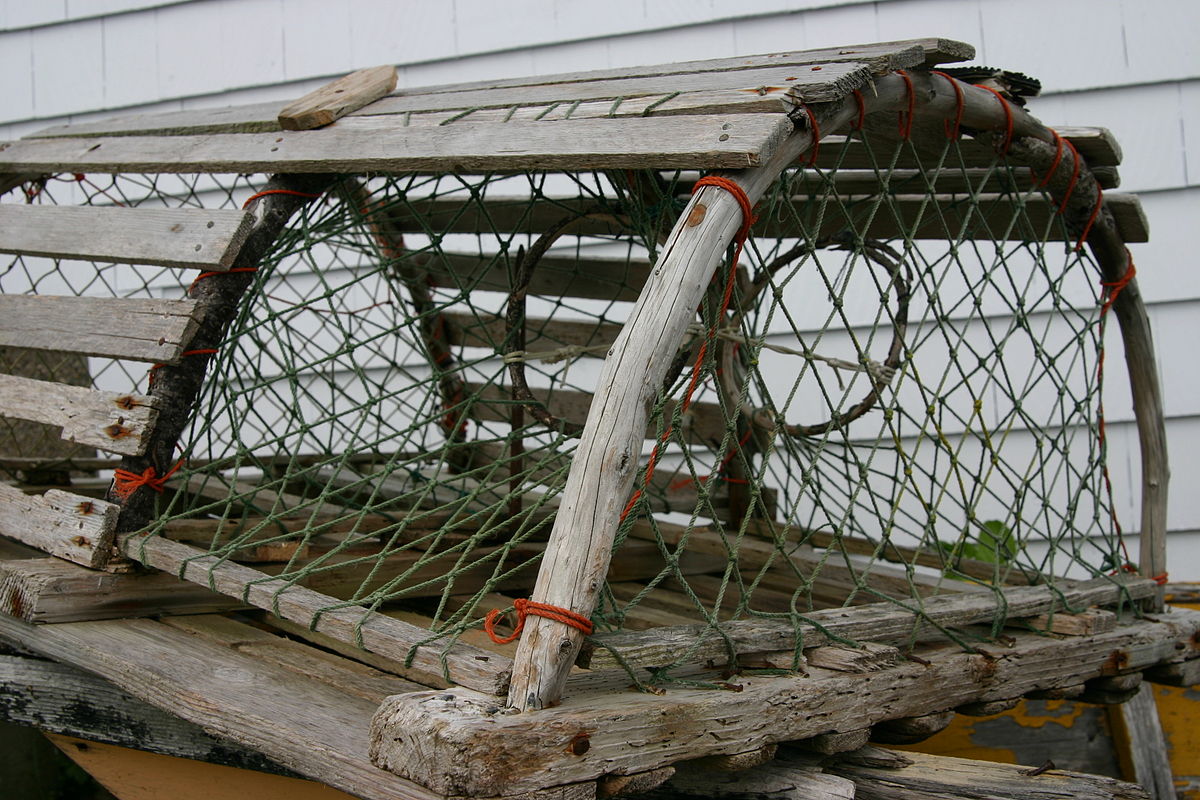 What does a lobster pot look like?