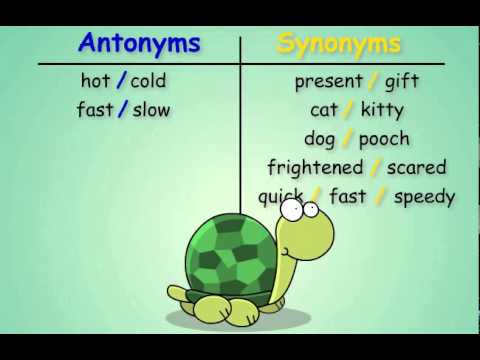 What does antonym mean?