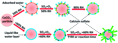 What does calcium sulfate react with?