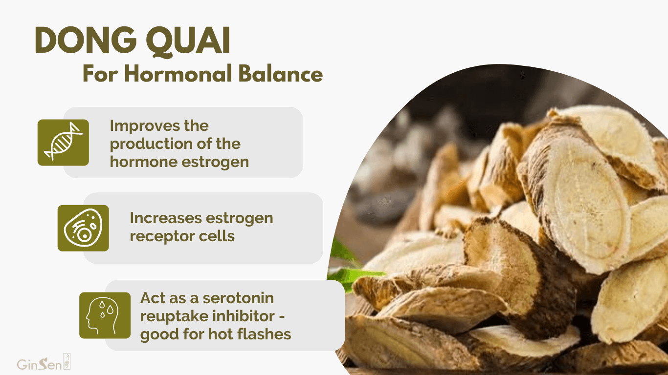 What does dong quai do to your hormones?