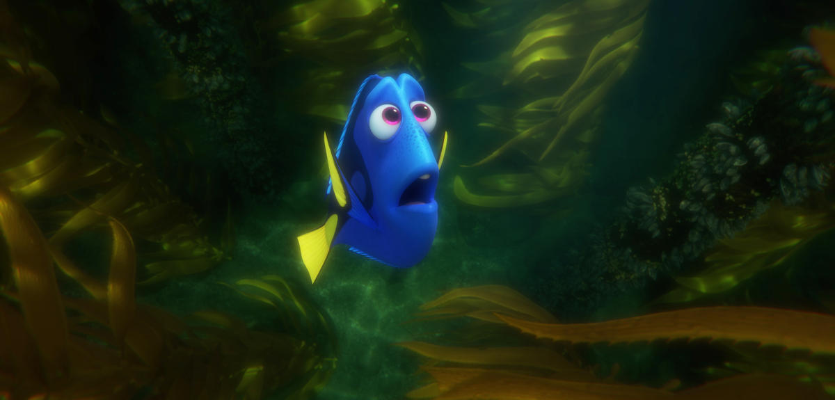 What does Dory say about her memory?