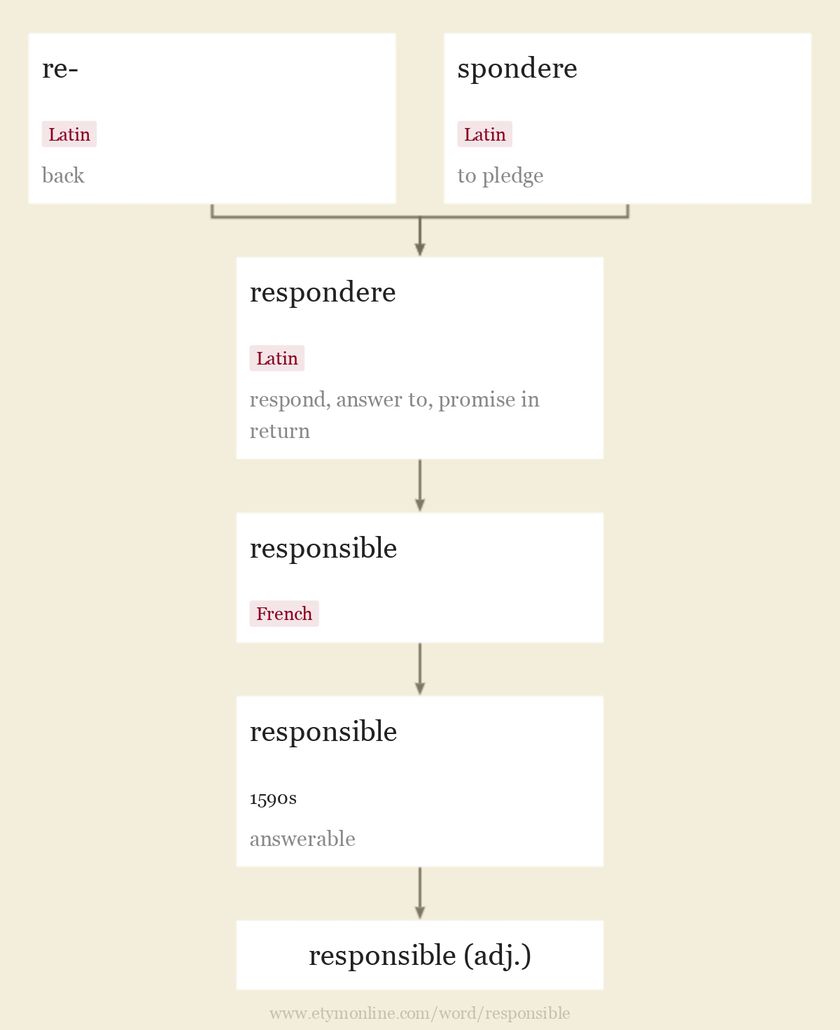 What does etymology answer mean?