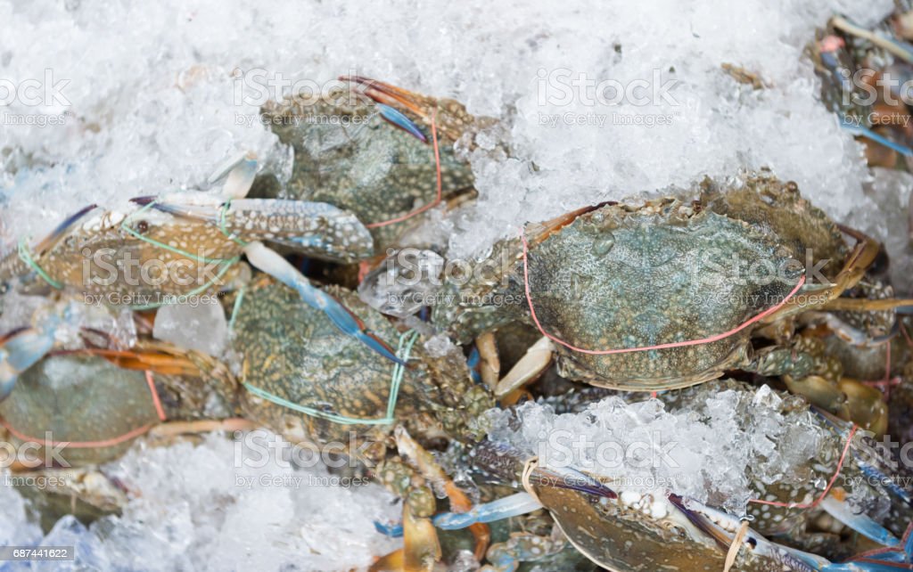What does ice do to Blue crabs?