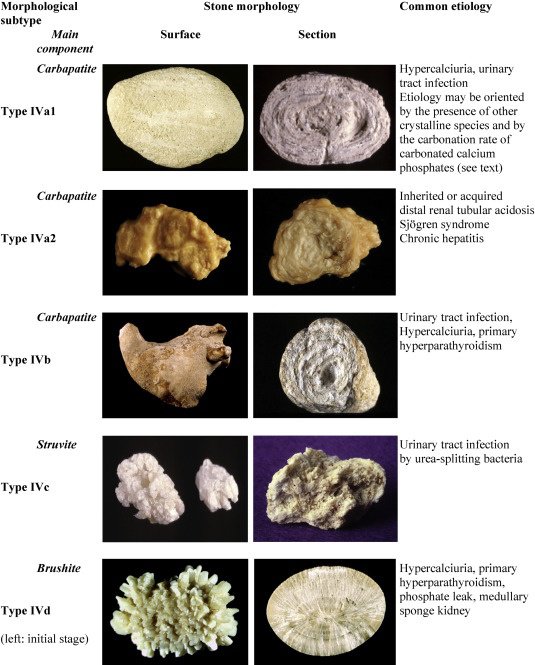 What does it mean when you can smell ammonia?