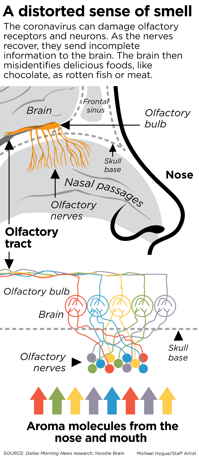 What does it mean when you randomly smell fish?