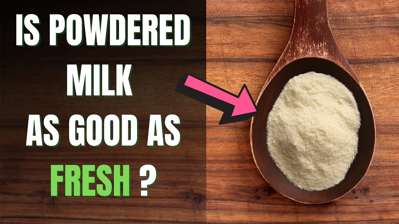 What does powdered milk do to your body?