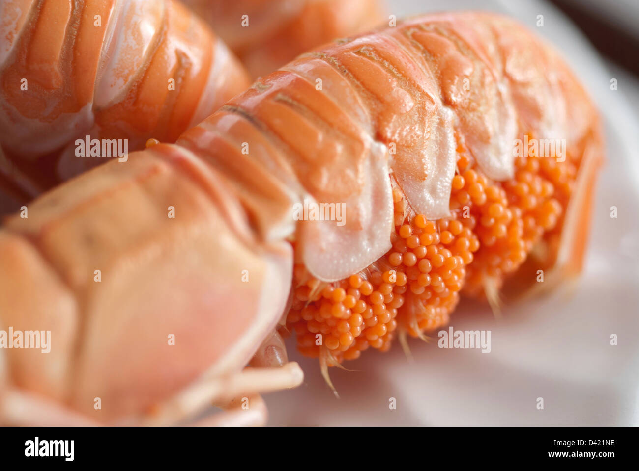 What does prawn roe look like? [2022] QAQooking.wiki