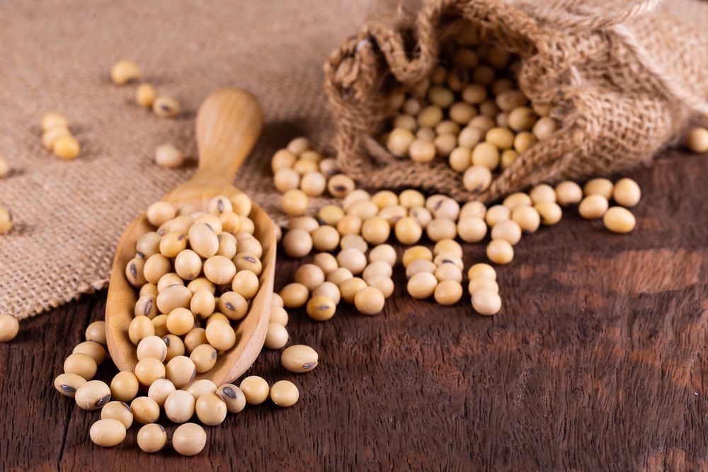 What does Soybean do to the body?