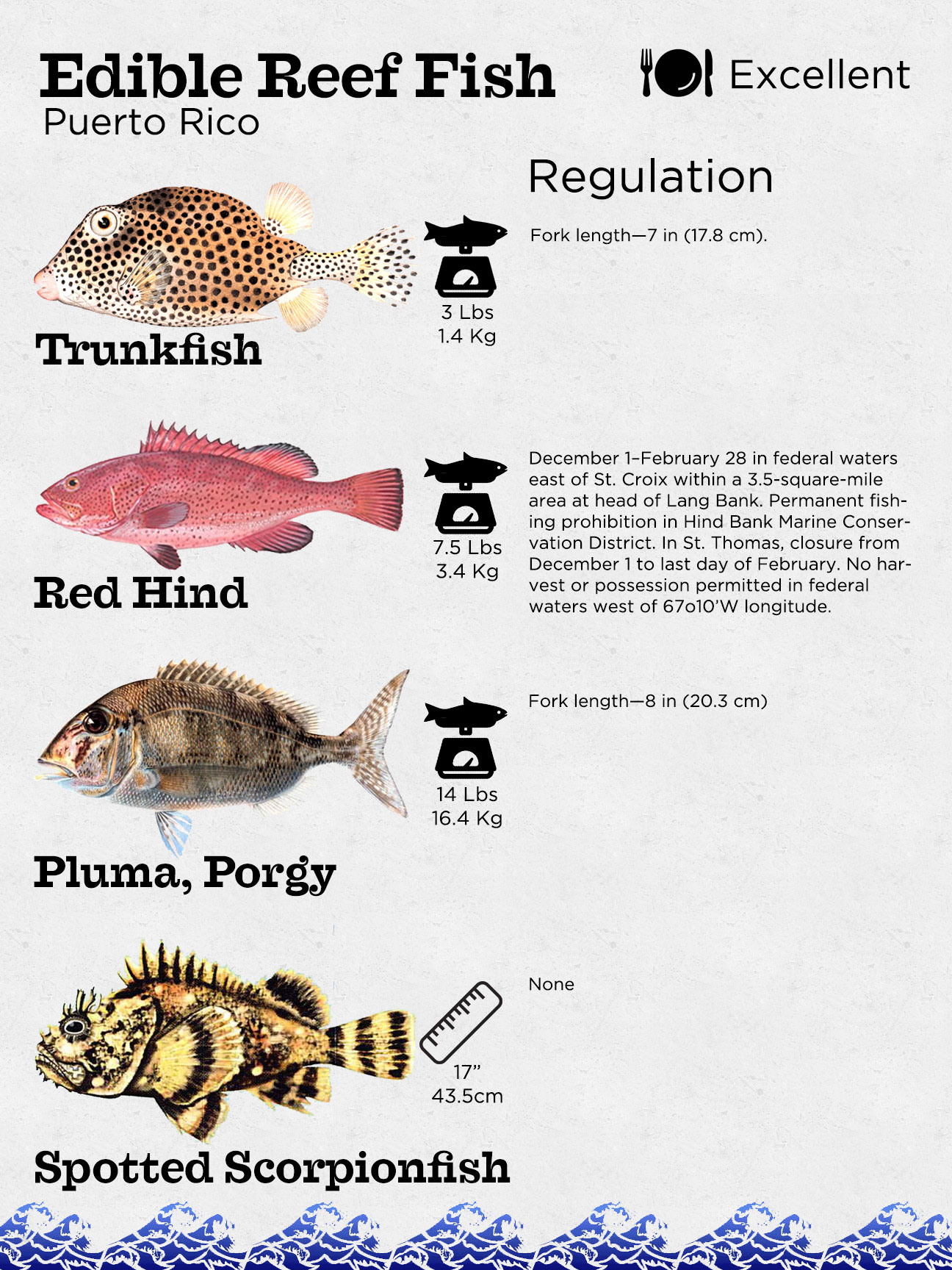 What edible fish are in the Caribbean?