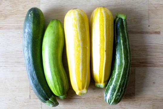 What family does zucchini belong to?