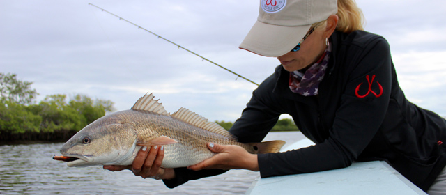 What fish bite in the winter in Florida?