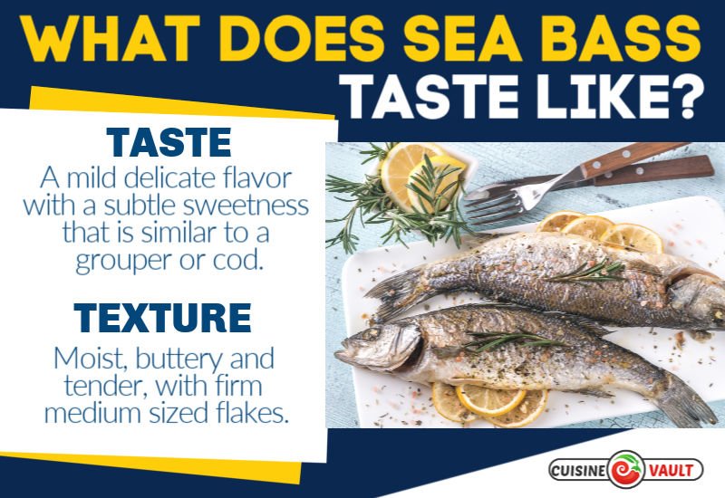What fish does Sea bass taste like?