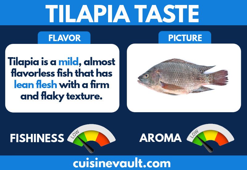 What fish taste similar to tilapia?
