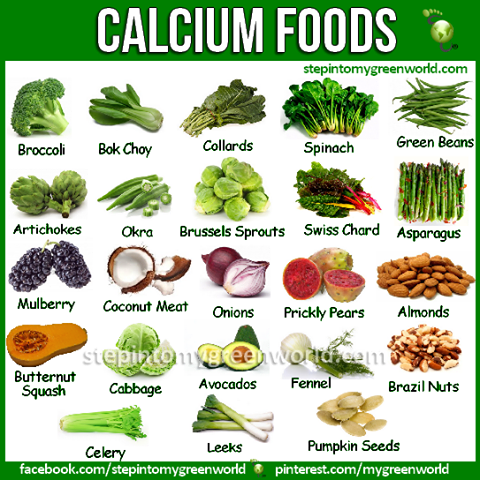 What foods are high in calcium?