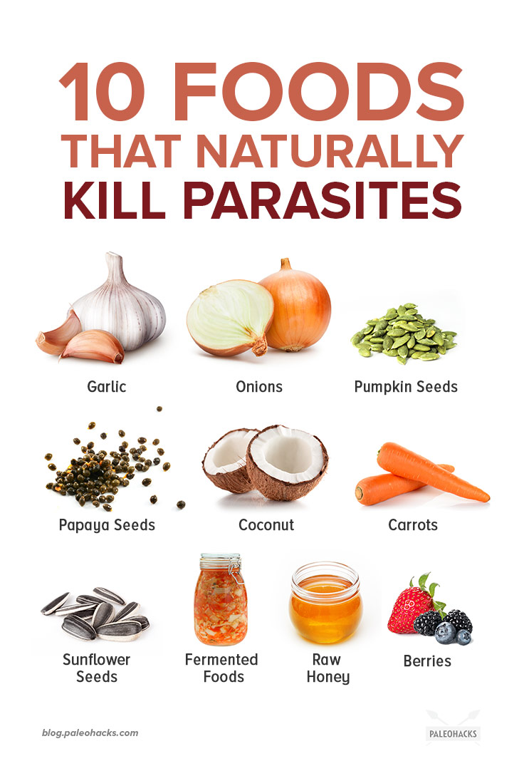 What foods can carry parasites?