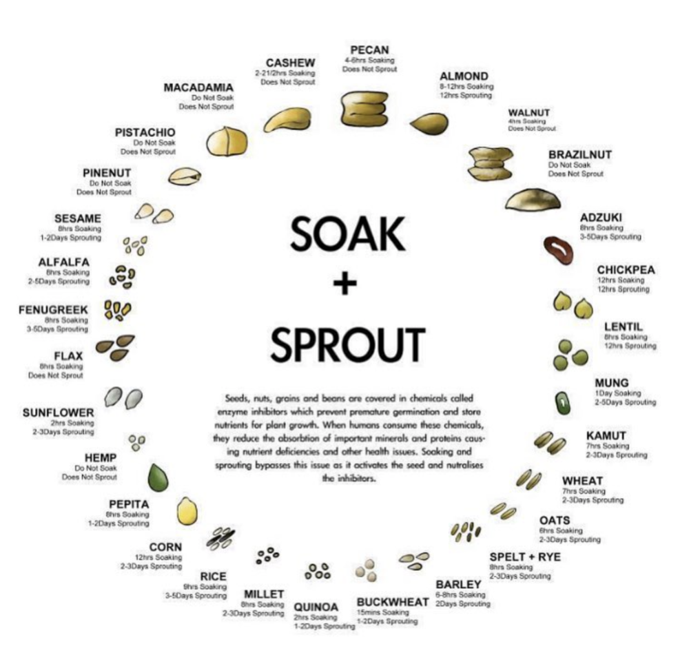 What foods contain phytic acids?