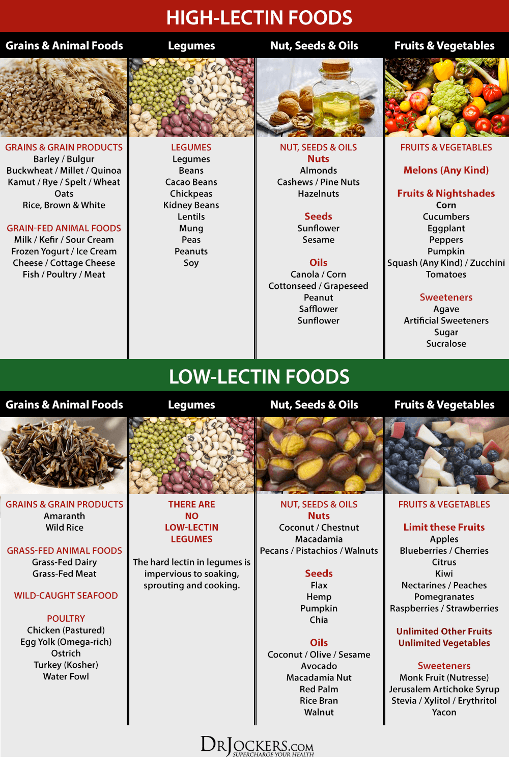 What foods have no lectins?