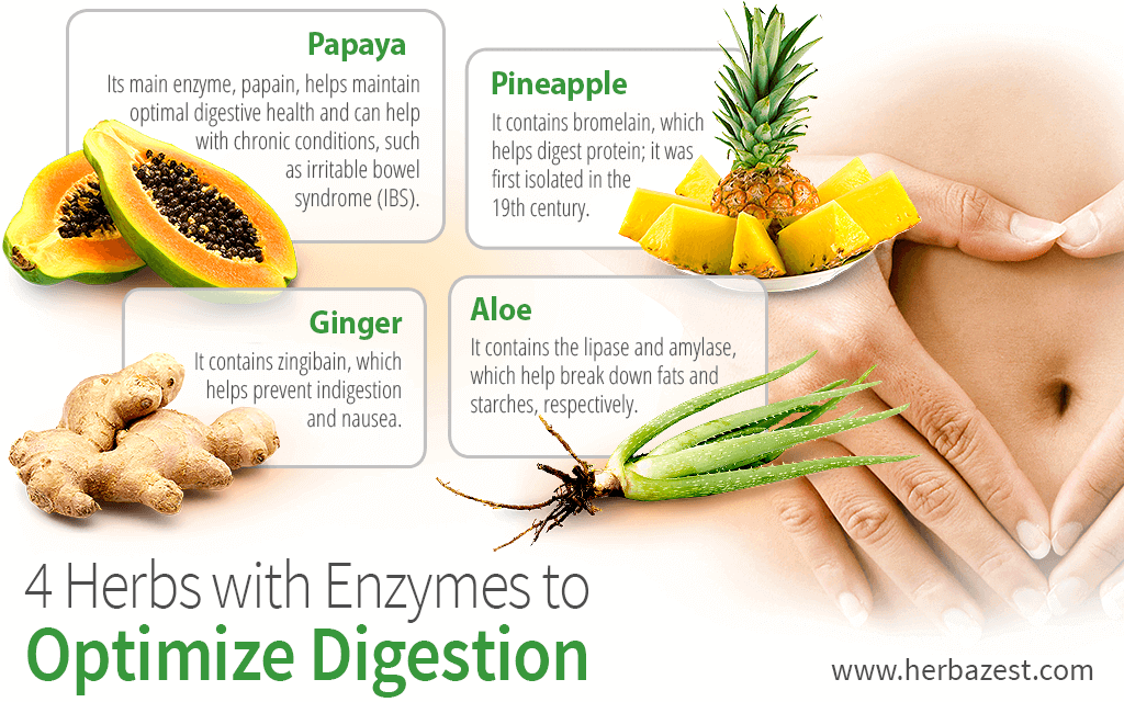 What fruit contains protease enzymes?