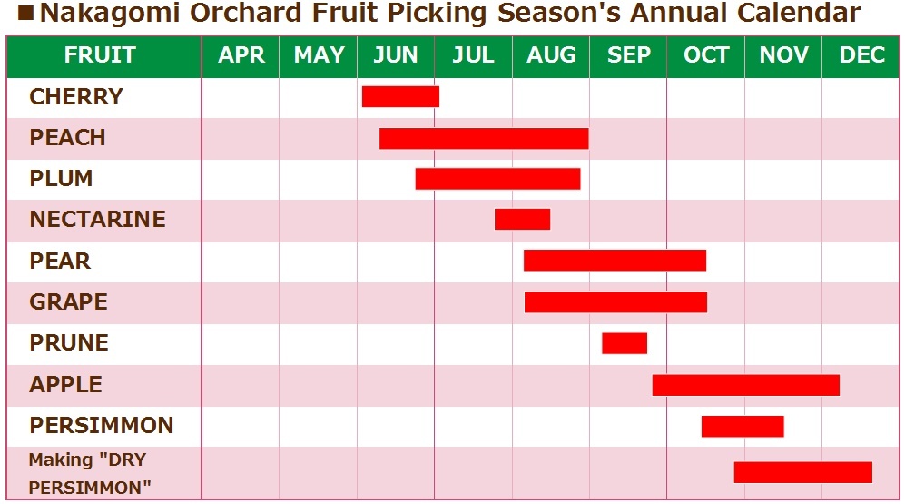 What fruit is in season in Japan in November?