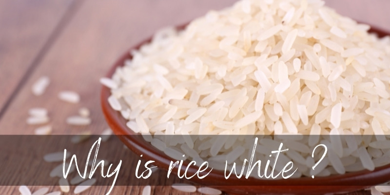 What gives rice its color?