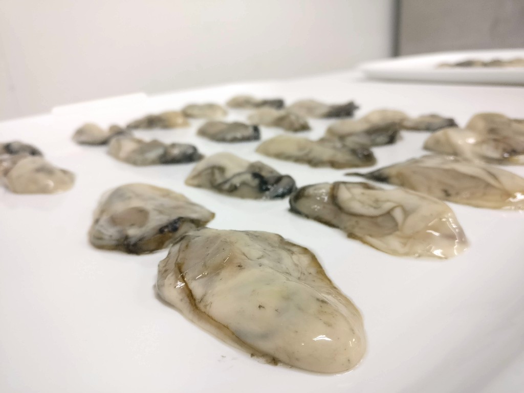 What happens if oysters are frozen? [2022] QAQooking.wiki