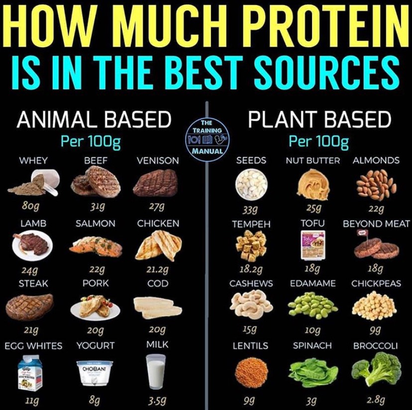 What happens if you don't eat enough protein on a low-carb diet?