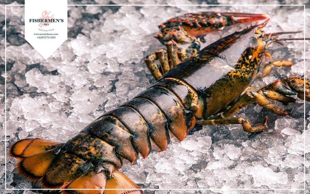What happens if you don't thaw lobster before cooking?