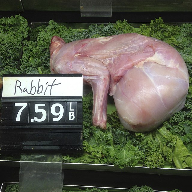 What happens if you eat too much rabbit?