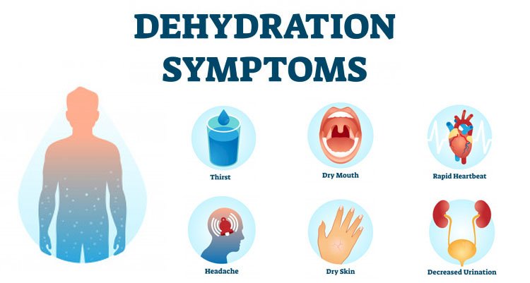 What happens to body when dehydrated?