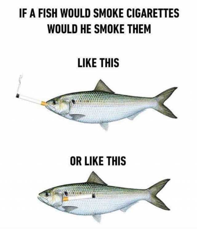 What happens to fish when you smoke it?