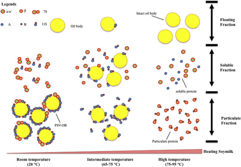 What happens to soy milk when heated?