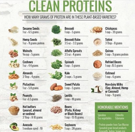 What has the same protein as meat?