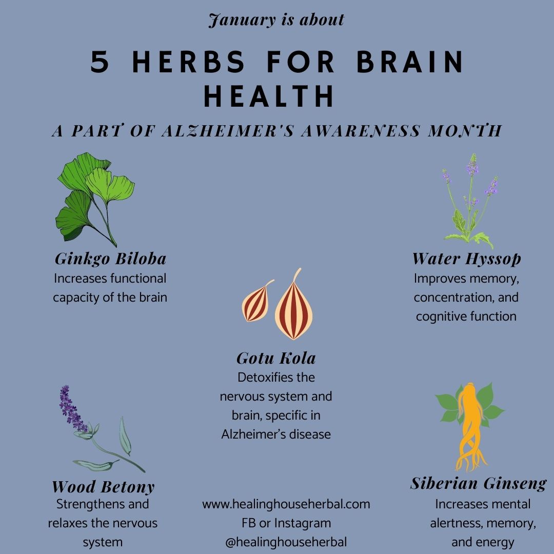 What herb increases cognitive ability?