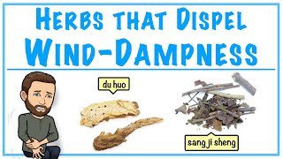 What herbs are good for dampness?