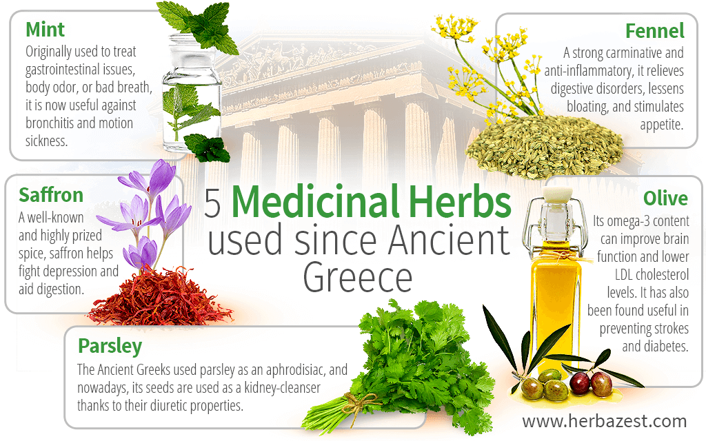 What herbs were used in ancient times?