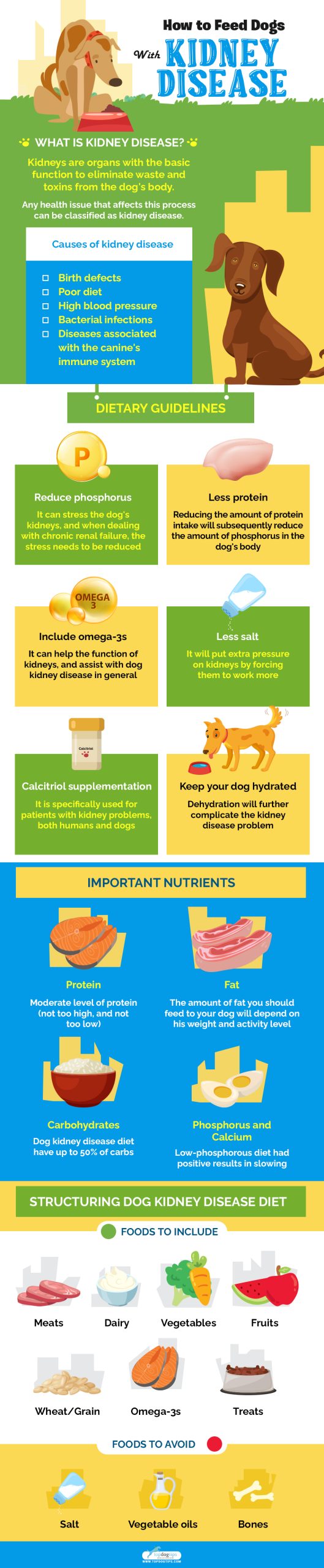 What human foods can dogs with kidney disease eat?
