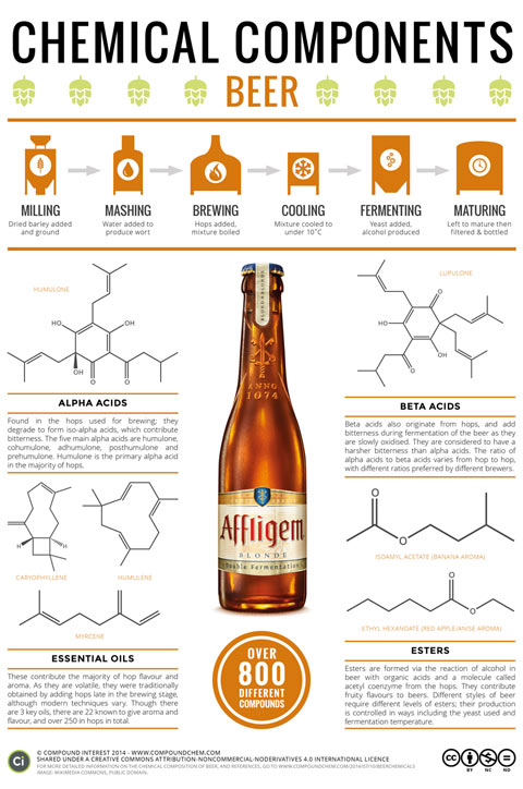 What ingredient adds flavor to beer?